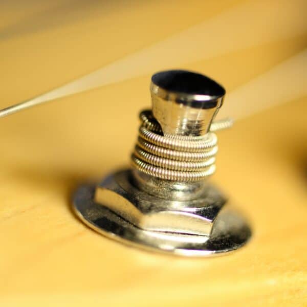 Scordatura: Alternate Tuning For Stringed Instruments