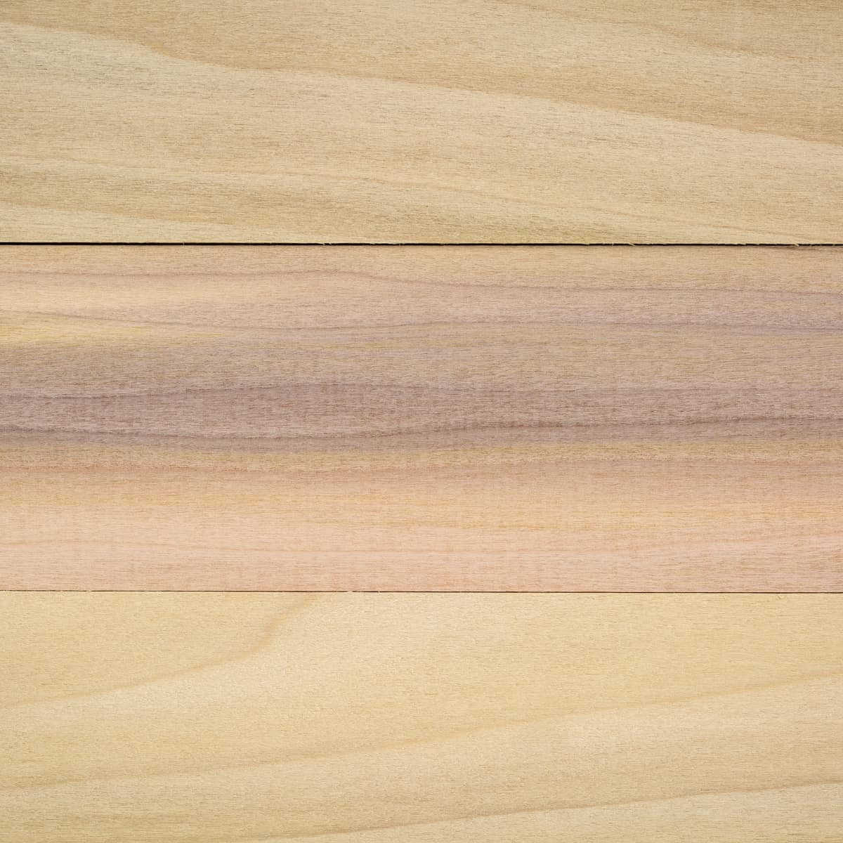 What is Poplar Tonewood? A Comprehensive Guide to Its Uses and Benefits